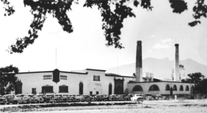 Loco Tequila - Luxury Tequila - Ultra Premium Terroir Tequila